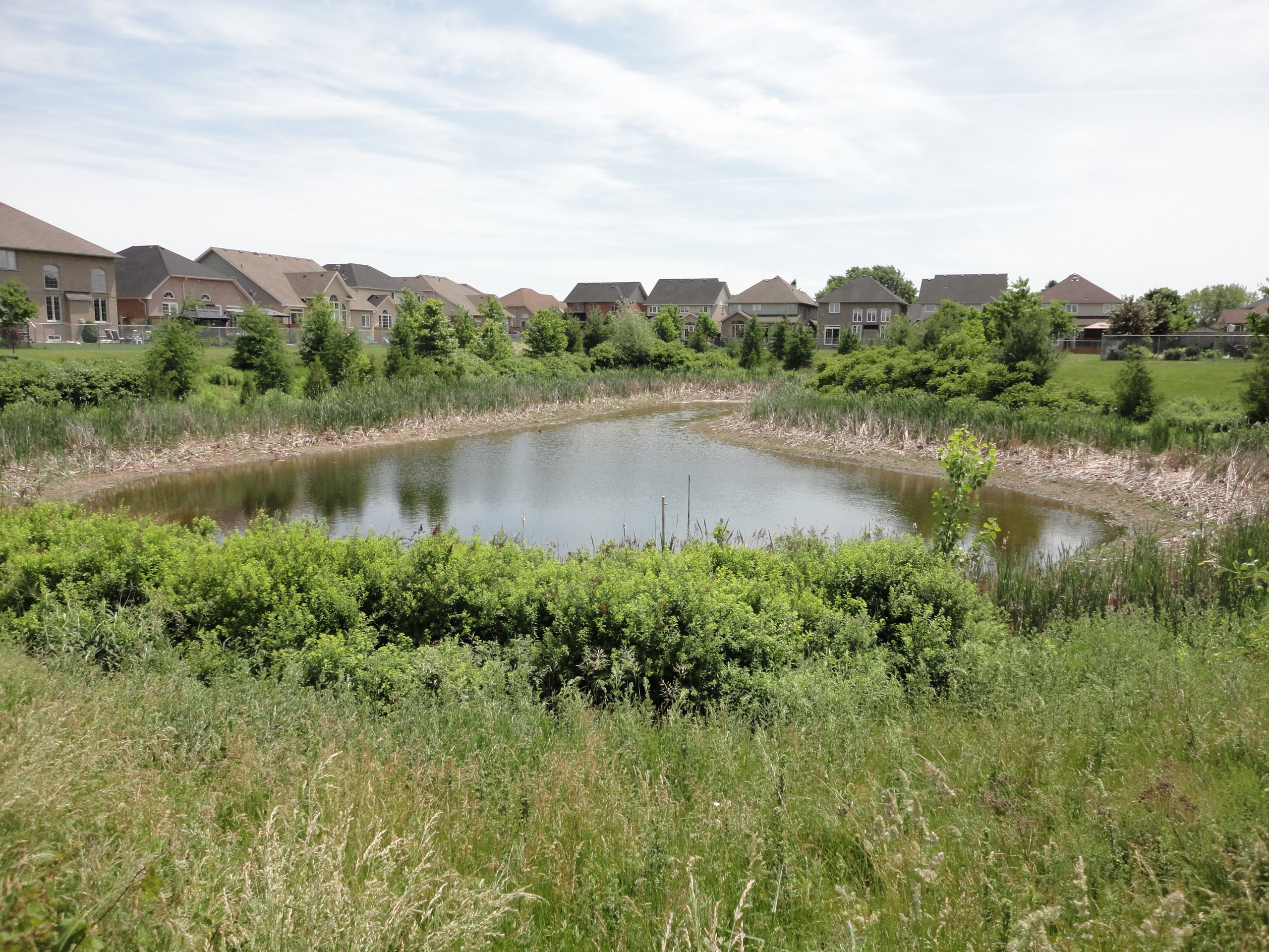 Stormwater Management Master Plan Study | Connect Oshawa